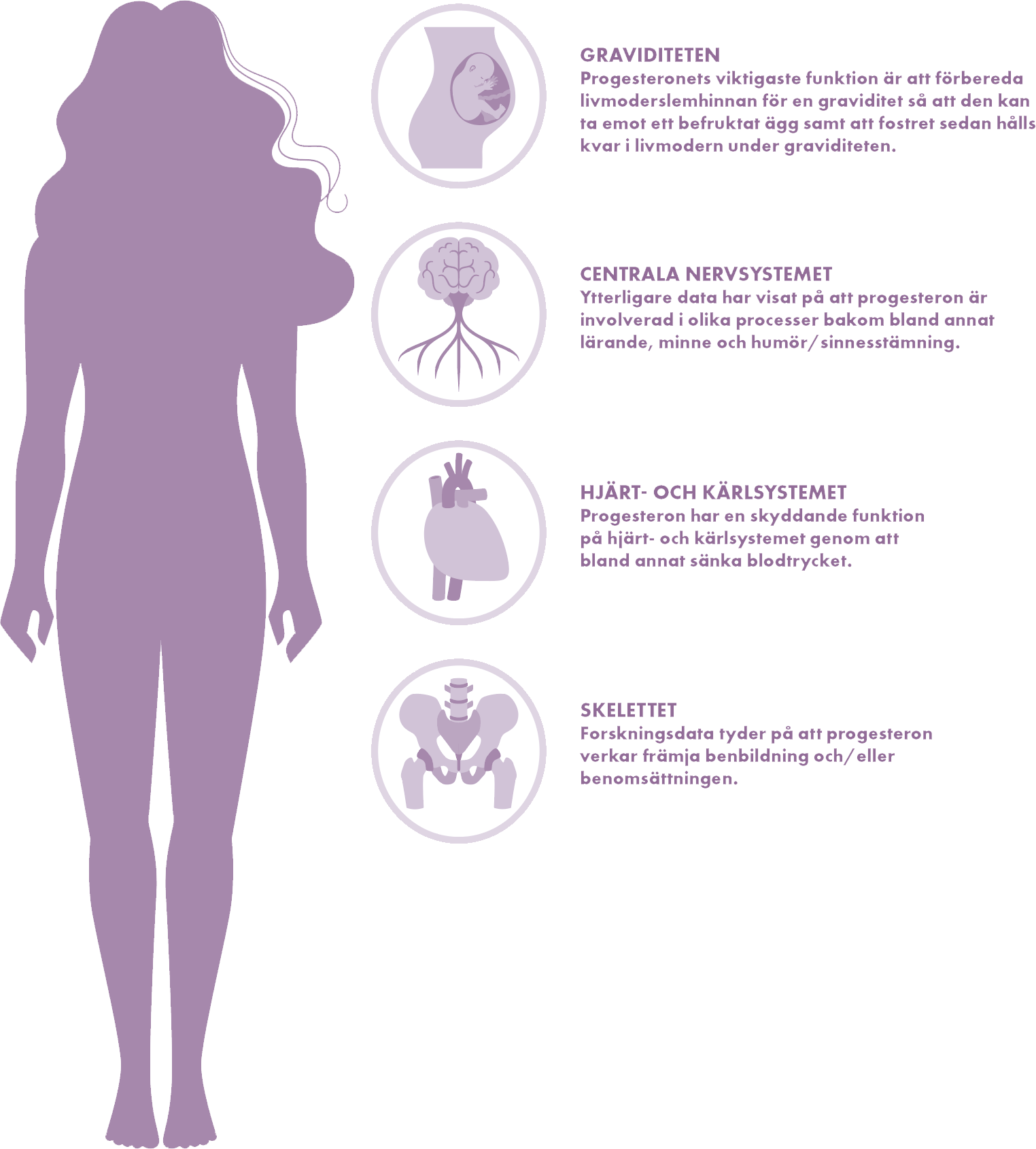 Naishormonit - Hormoniopas